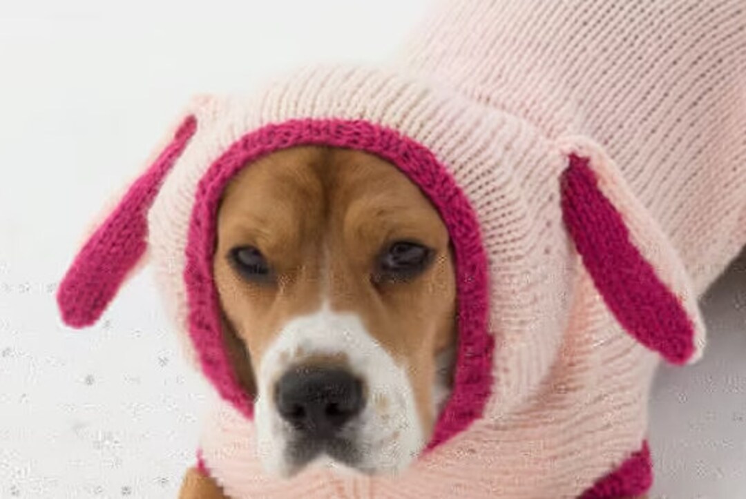 Dog Costume Knitting Pattern PDF – Easy Beginner Knit – Small to Medium ...