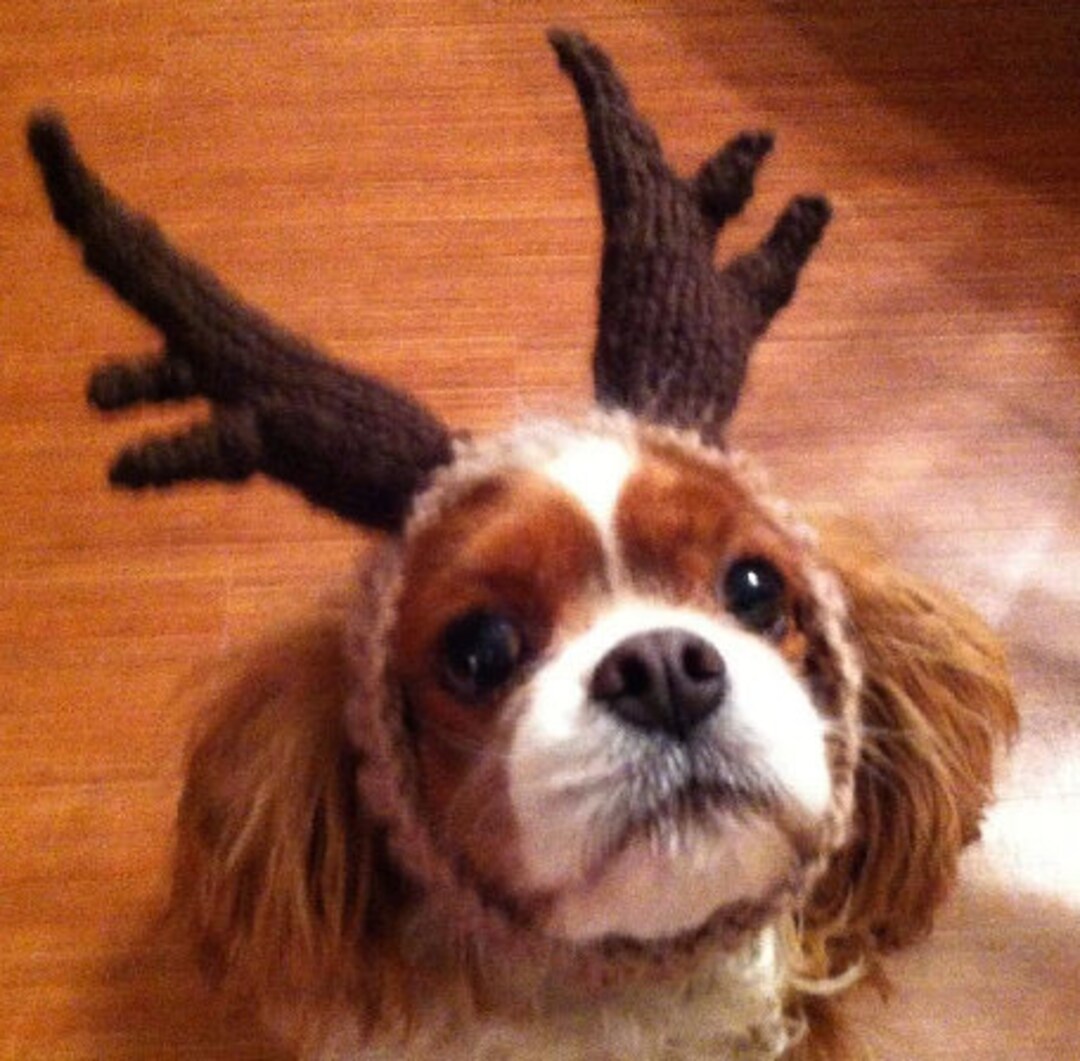 Dog Antlers Knitting Pattern for Your Dog ~ PDF ~ Easy Knit Pattern ...