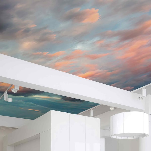 Ceiling Mural - Etsy