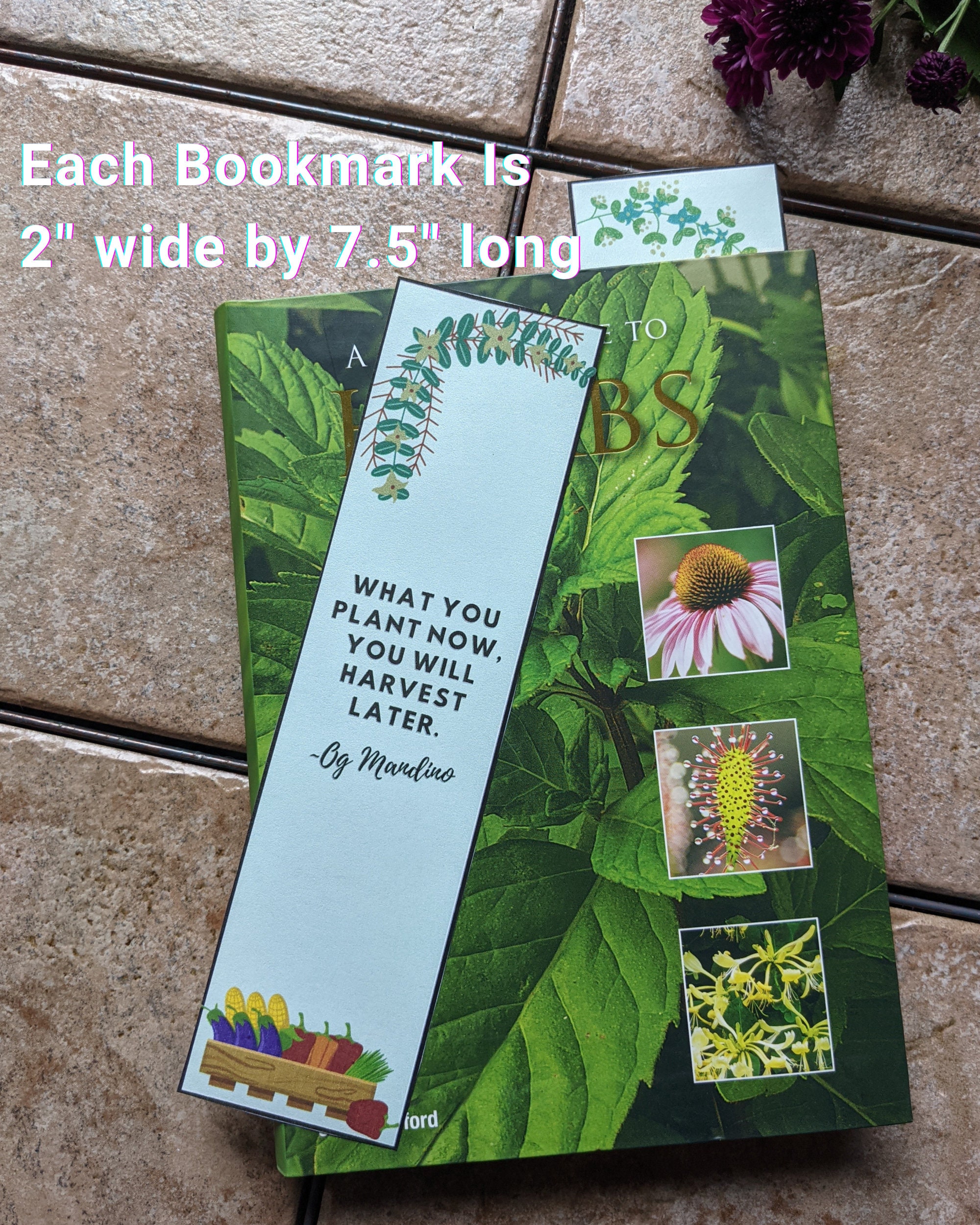 Printable Bookmarks Set of 8 Bookmarks Houseplants & Gardens Bookmark ...