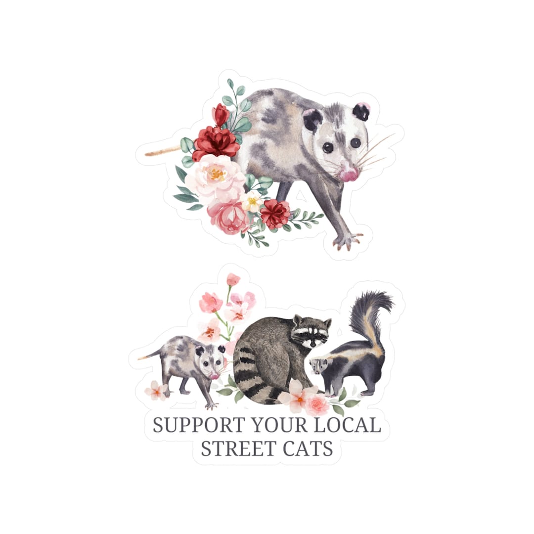 Support Your Local Street Cats & Opossum Kiss-cut Vinyl Decals - Etsy