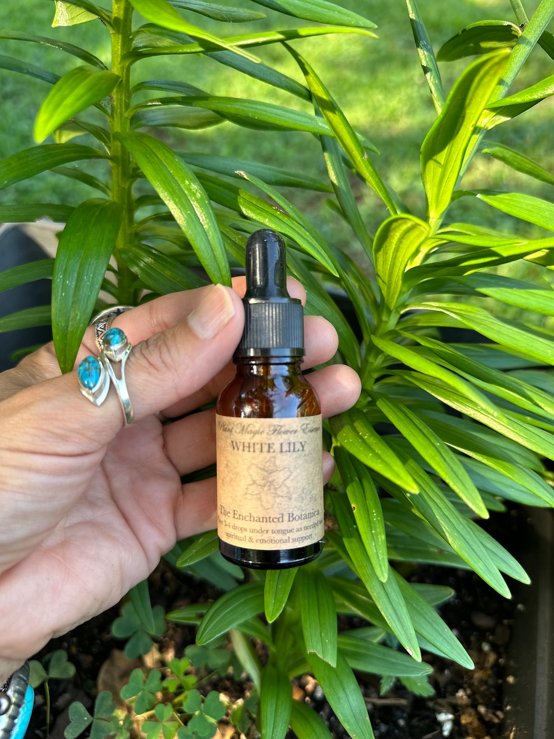 White Lily Flower Essence Energetic Healing Chakras Plant Medicine ...