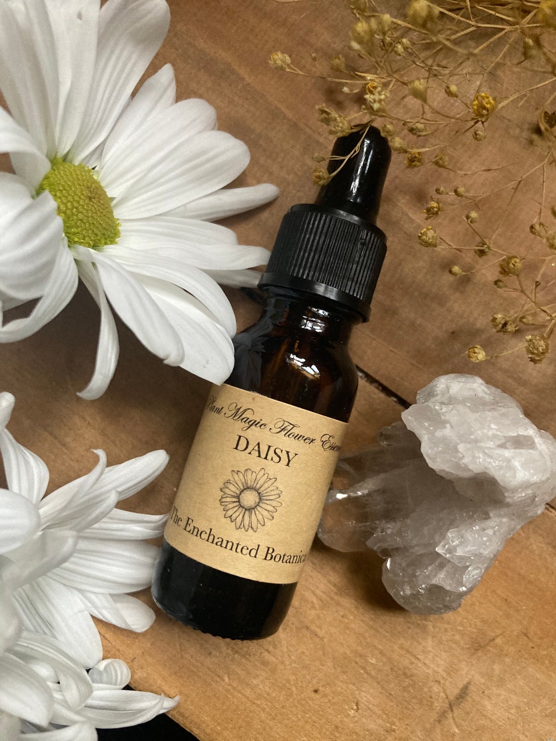 Daisy Flower Essence - Etsy