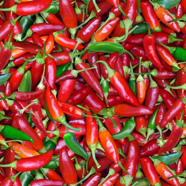 Chili Pepper Fabric - Etsy