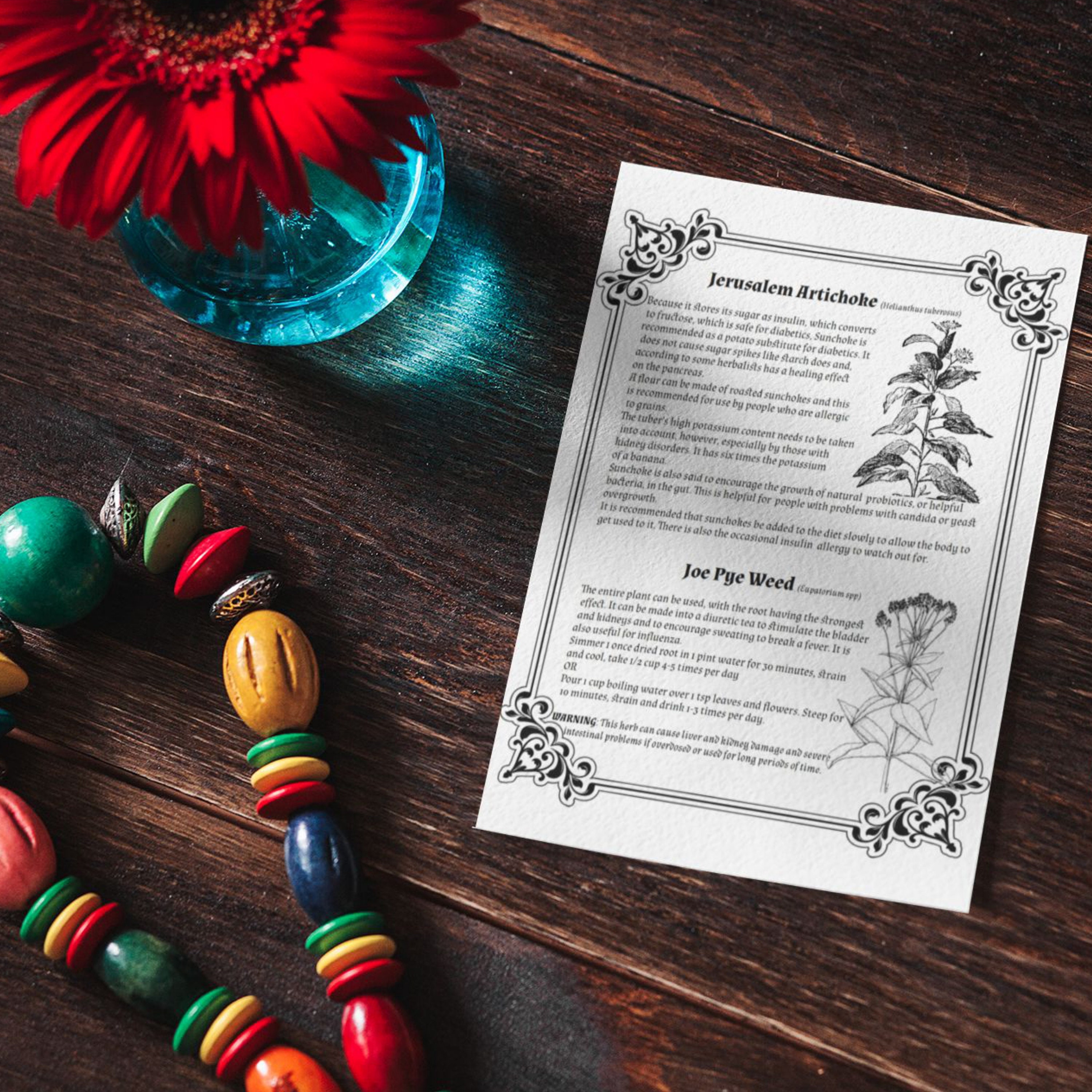 118 Must Have Healing Herbs & Spices Witchcraft Herbs Wiccan - Etsy ...