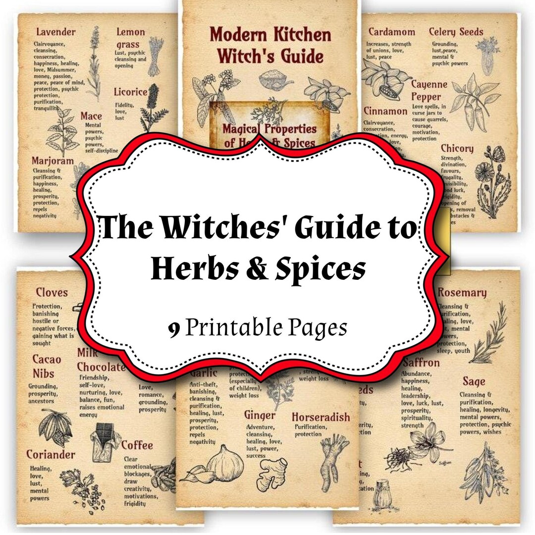 Kitchen Witch Guide: Herbs and Spices Magical Uses, Book for Green ...