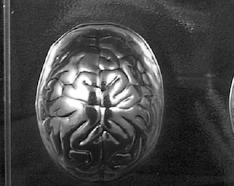 Chocolate Brain - Etsy