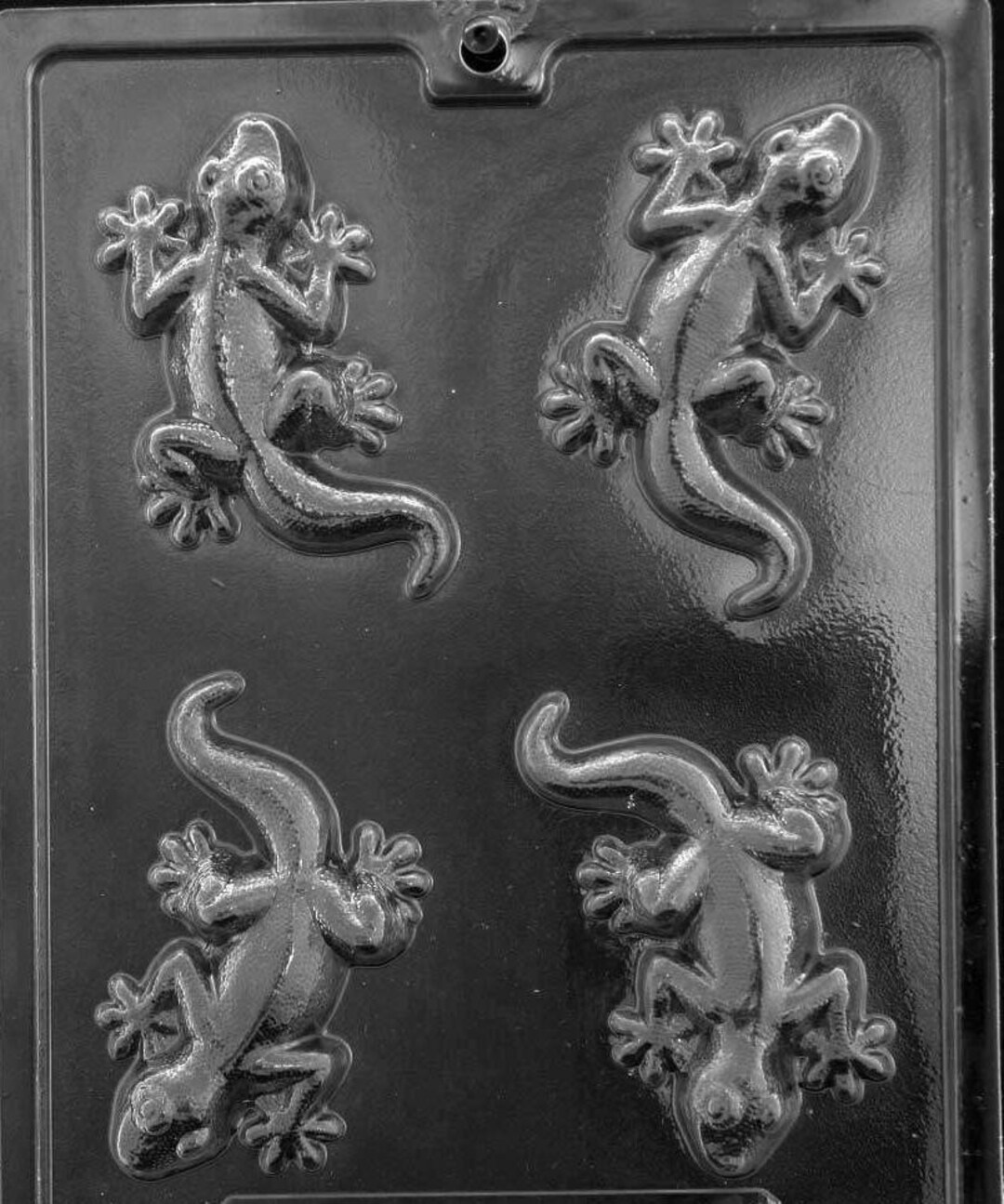 A133 Lizard Chocolate Candy or Soap Mold - Etsy
