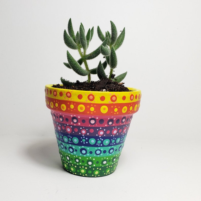 3 Colorfull Pot Flowerpot 3 Funky Color Pot - Etsy