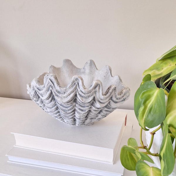 Clam Shell Planter - Etsy