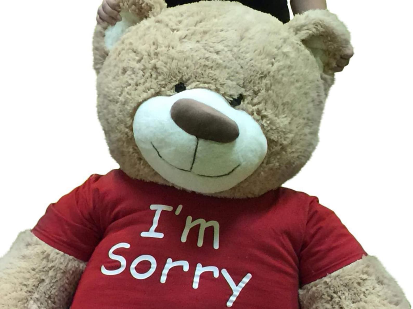 I'm Sorry Giant Teddy Bear 5 Feet Tall Tan Color Soft Wears T Shirt ...