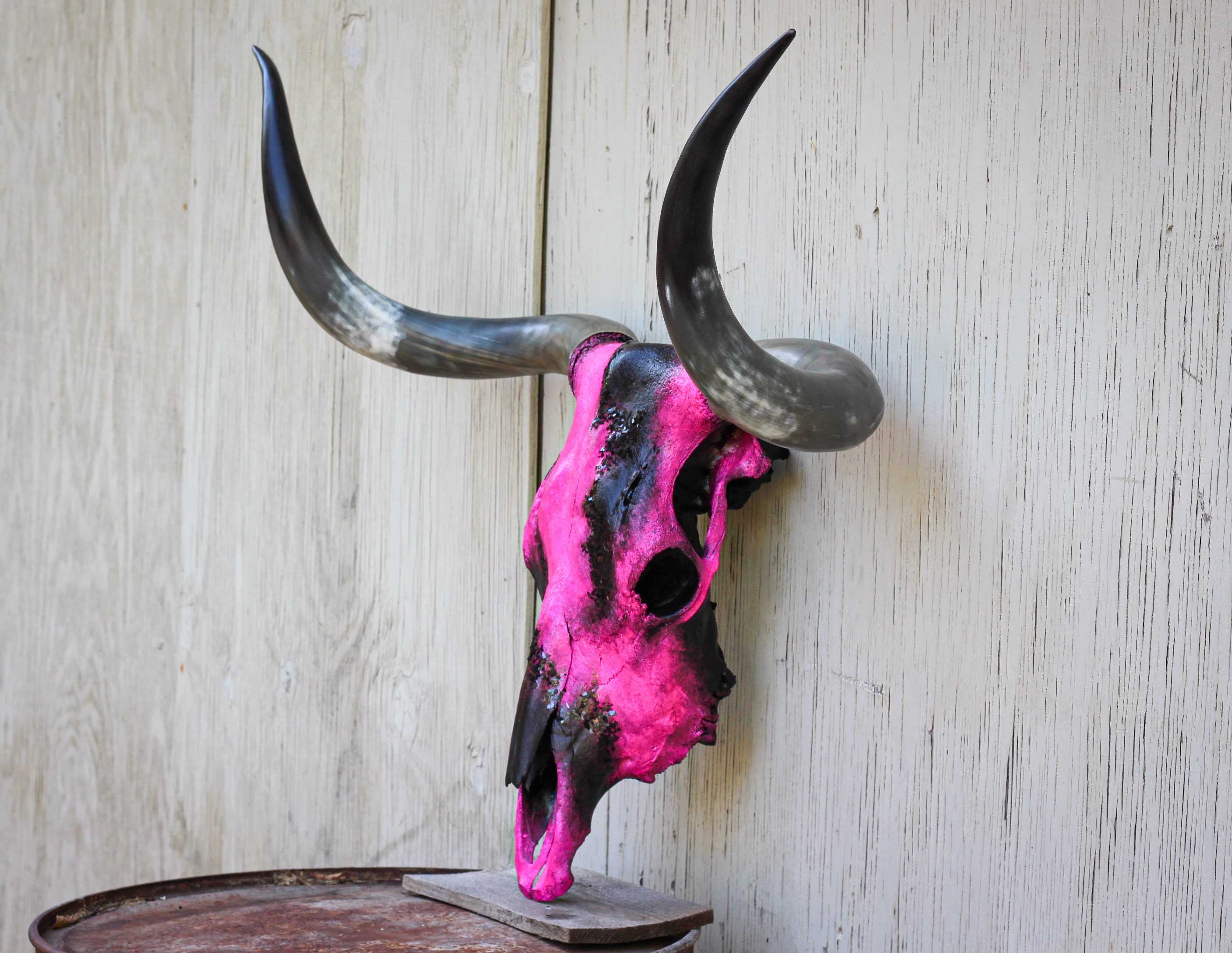Pink and Black Painted Longhorn Skull - Etsy