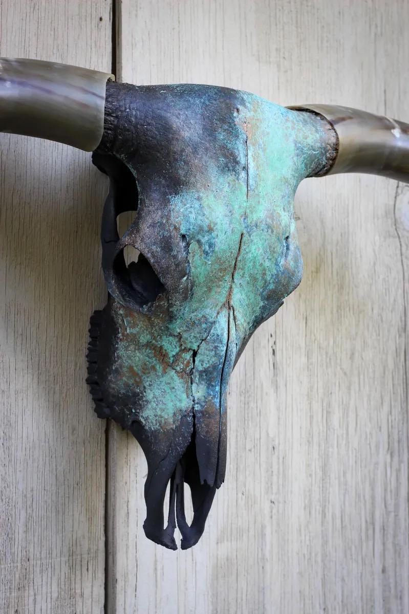 Turquoise Patina and Black Longhorn Skull - Etsy