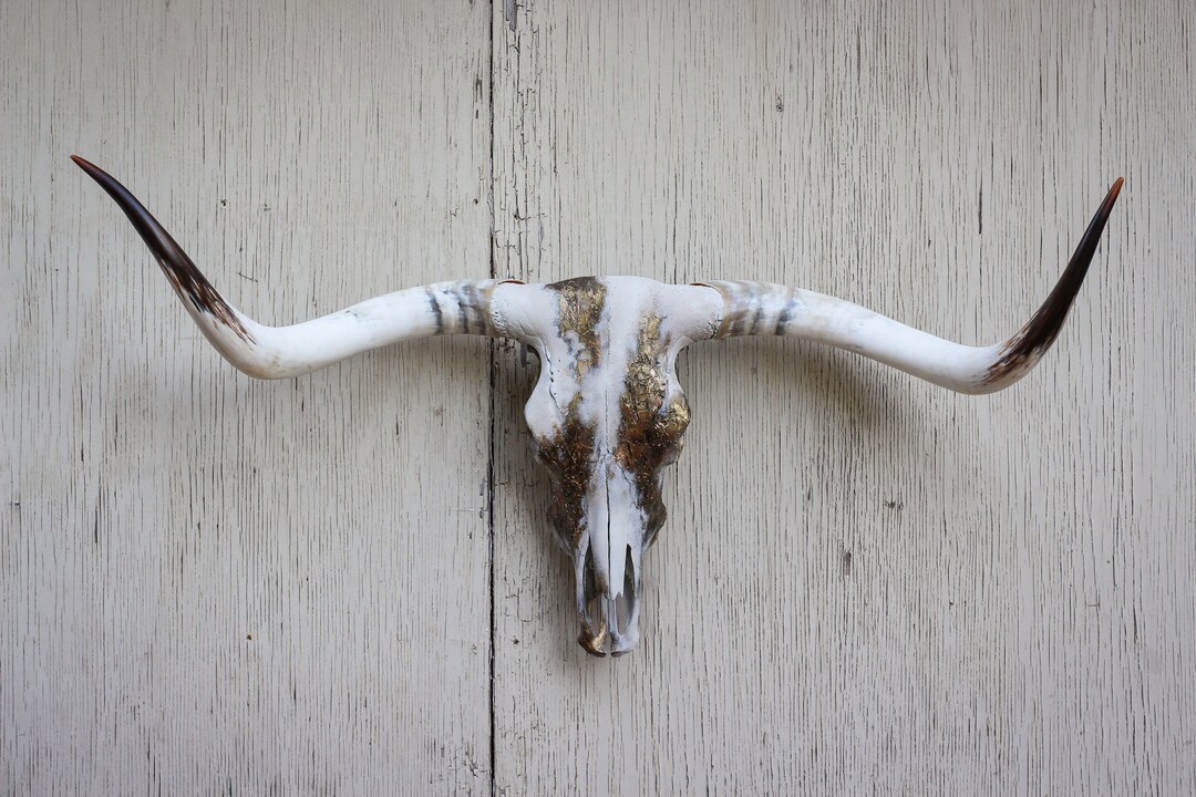 White and Gold Texture Painted Longhorn Skull - Etsy