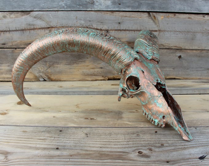 Metallic Painted Ram Skull Painted Ram Skull Painted Sheep Skull Copper ...