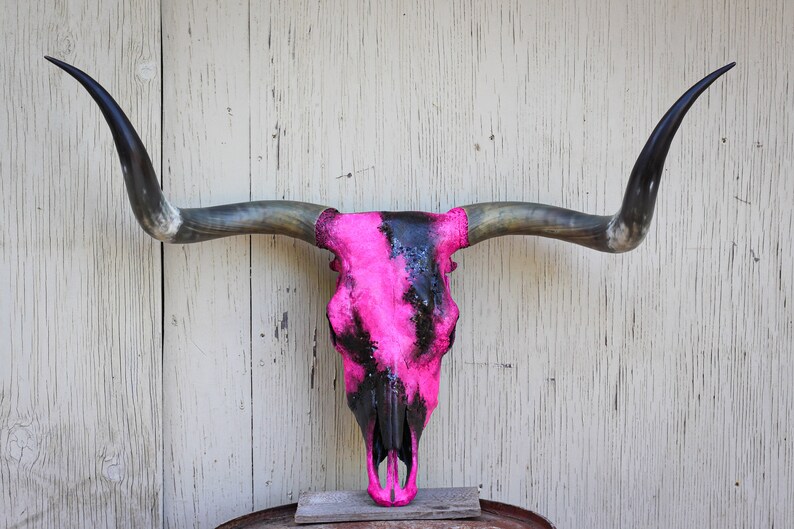 Pink and Black Painted Longhorn Skull - Etsy