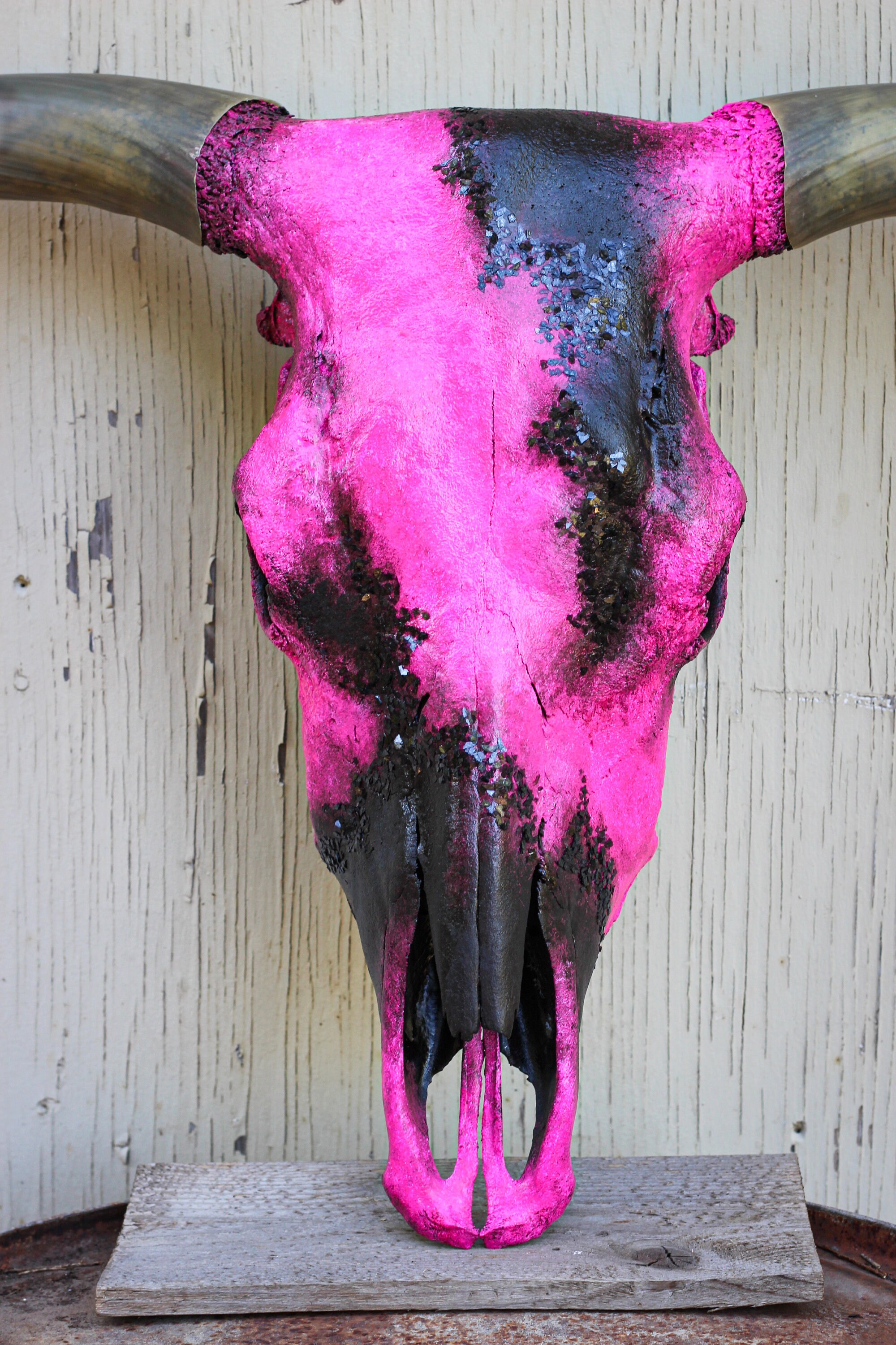 Pink and Black Painted Longhorn Skull - Etsy
