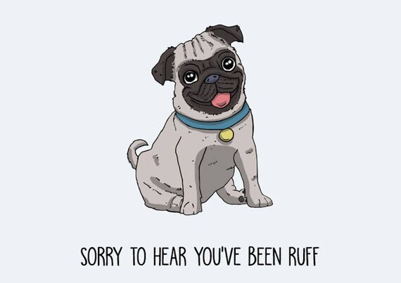 Pug Postcard: Sorry to Hear You've Been Ruff | Etsy