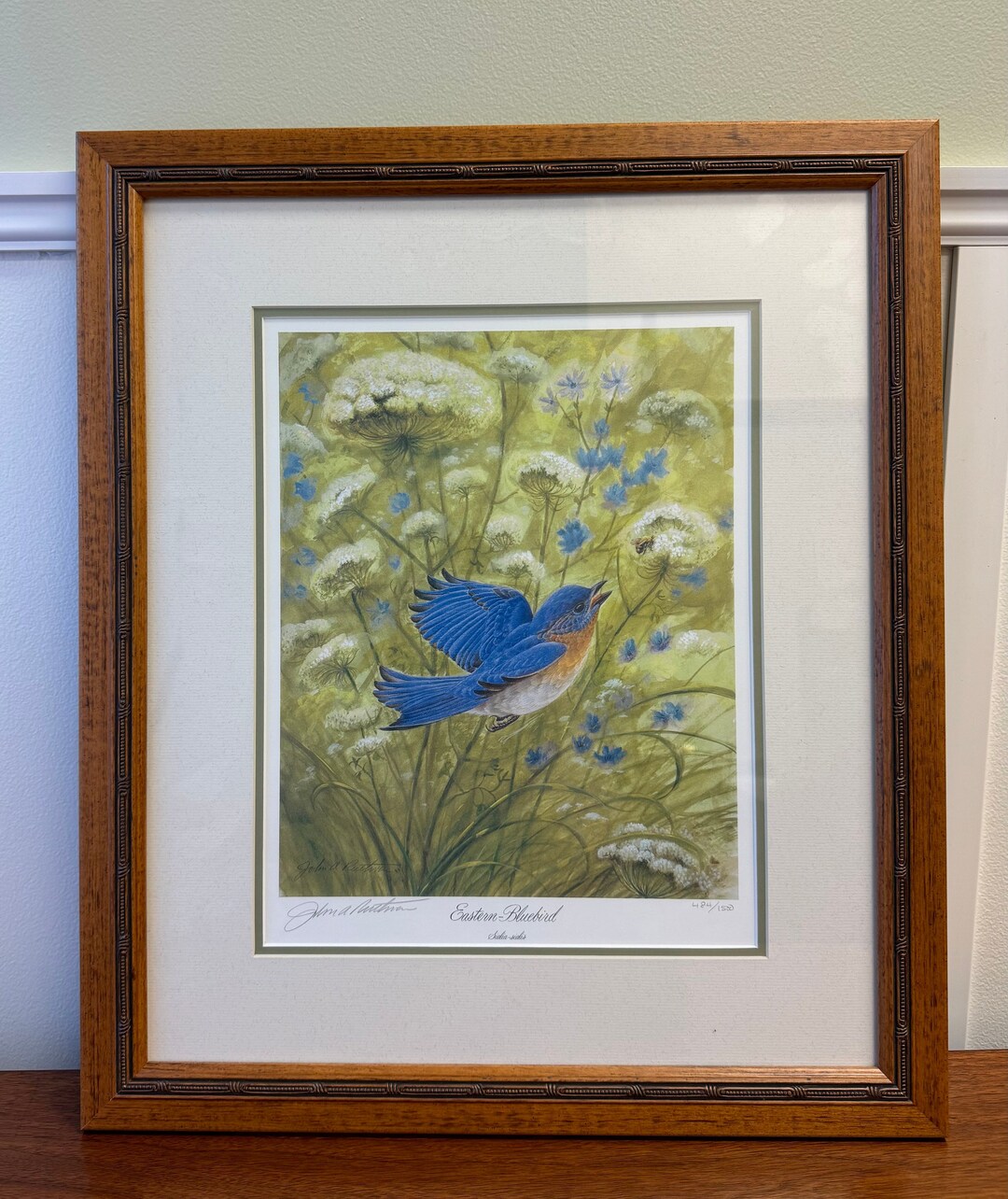 Eastern Bluebird Lithograph by John A. Ruthven Artist Proof Print ...