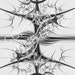 Decadence Tree Printable Greyscale Fractals | 5 Different Fractals ...