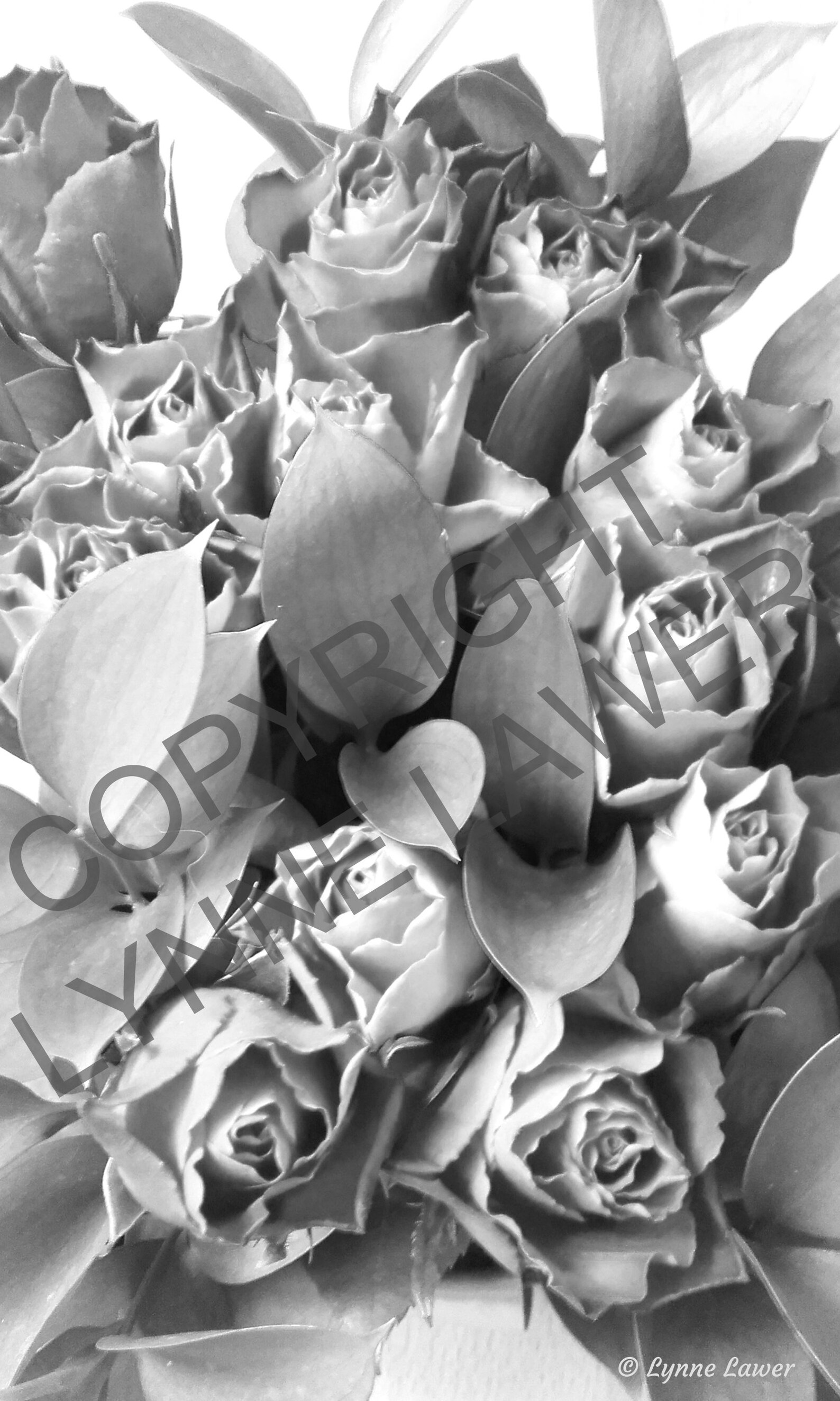 Blooming Beautiful 30 Greyscale Flower Photos Floral Printables to ...
