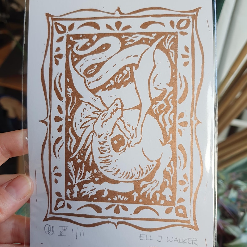 Dragon Print Medieval - Etsy UK