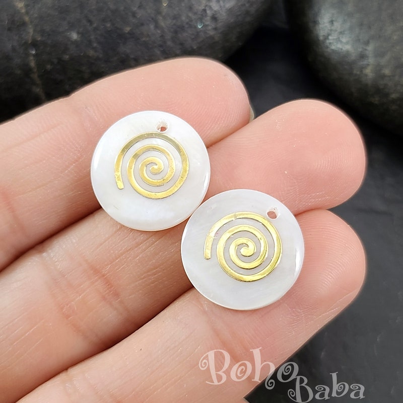 Flat Spiral Shells - Etsy