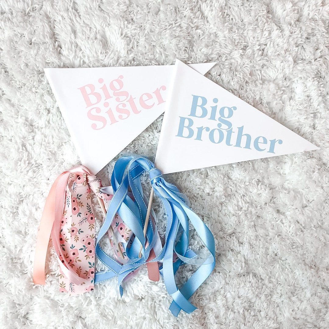 Big Sister Big Brother Pennant Flag - Etsy