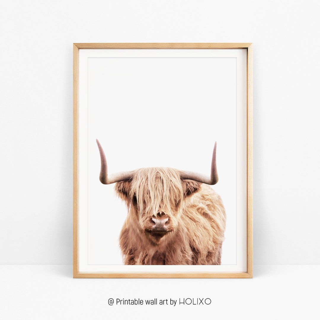 Highland Cow Print, Modern Boho Bedroom Wall Decor, Farmhouse Wall Art ...