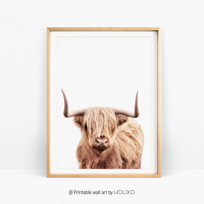 Highland Cow Print, Modern Boho Bedroom Wall Decor, Farmhouse Wall Art ...