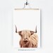 Highland Cow Print, Modern Boho Bedroom Wall Decor, Farmhouse Wall Art ...