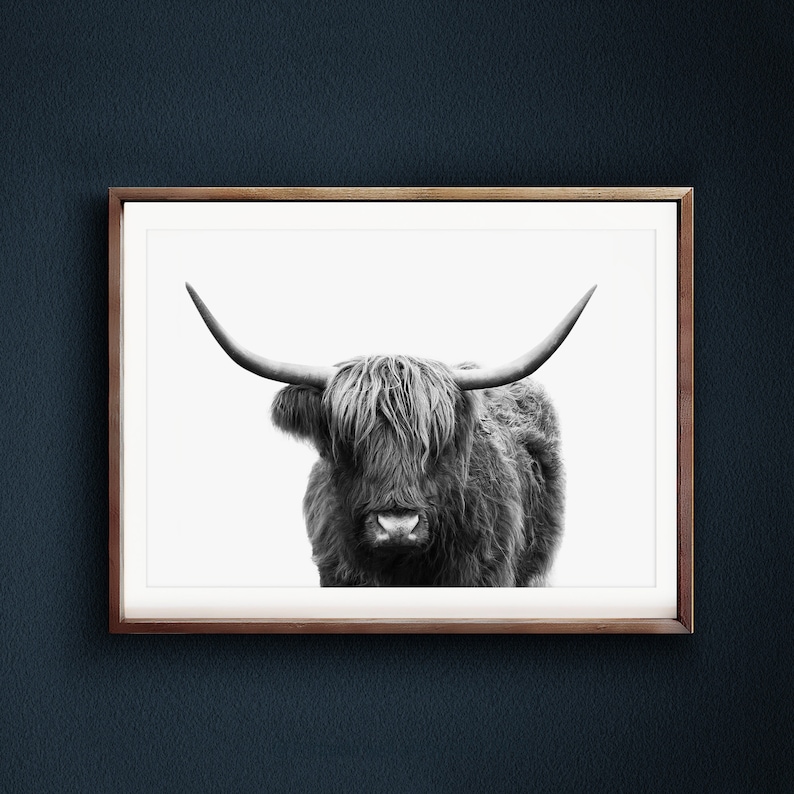 Highland Cow Print Farmhouse Wall Decor Modern Kitchen Decor - Etsy