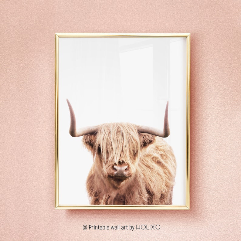 Highland Cow Print, Modern Boho Bedroom Wall Decor, Farmhouse Wall Art ...