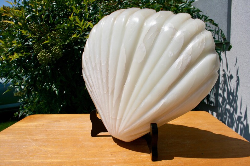 Sea Shell, Italian Alabaster Scuplture - Etsy