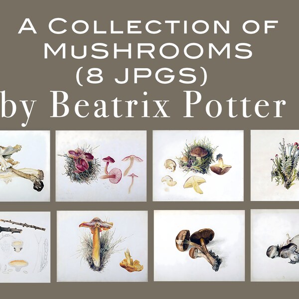 Beatrix Potter Prints - Etsy