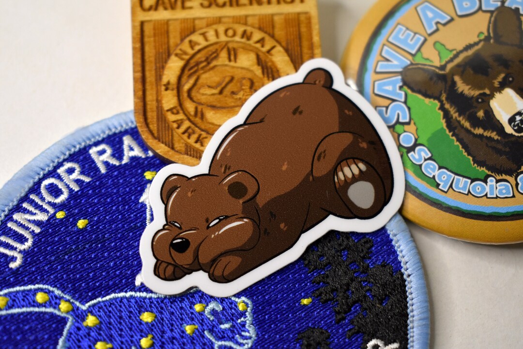 Cute Brown Bear Sticker, Grizzly Bear Art, Kawaii Bear Sticker, Penpal ...