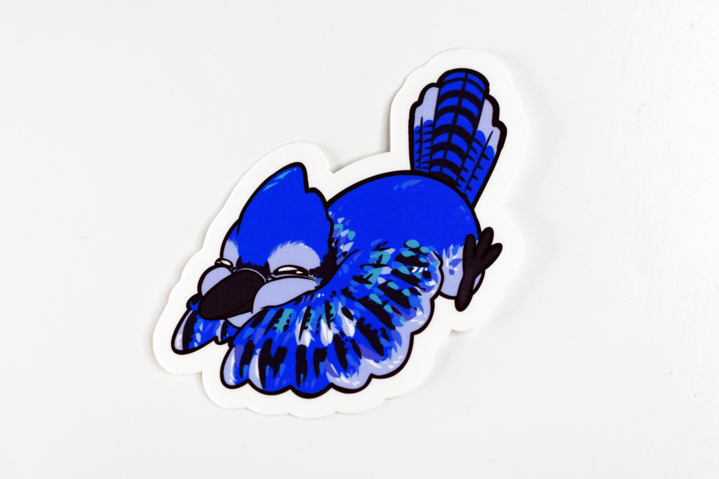 Blue Jay Sticker Passerine Bird Song Bird Songbird Sticker | Etsy