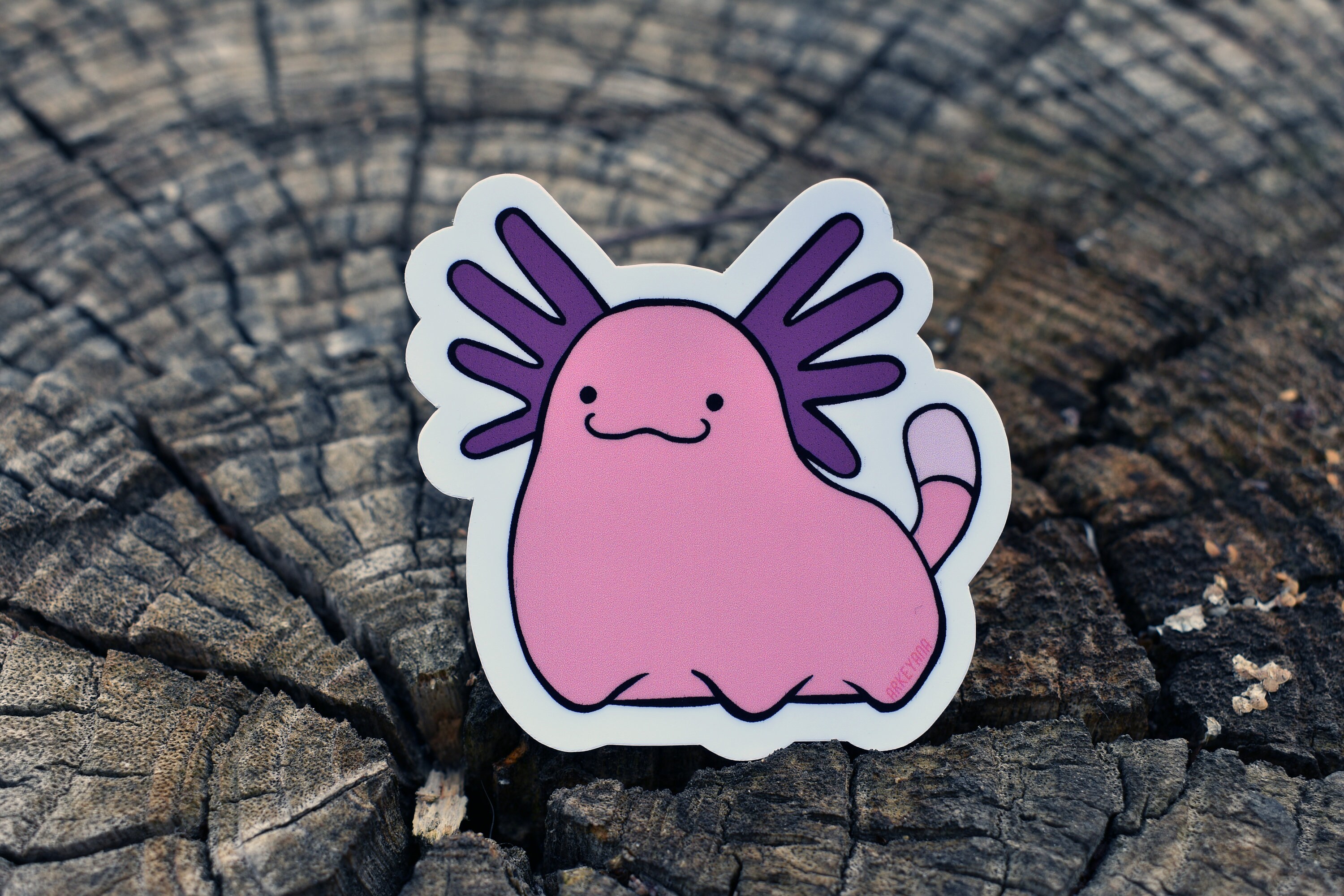 Beta shiny Wooper Pokémon Pink Design Axolotl - Etsy