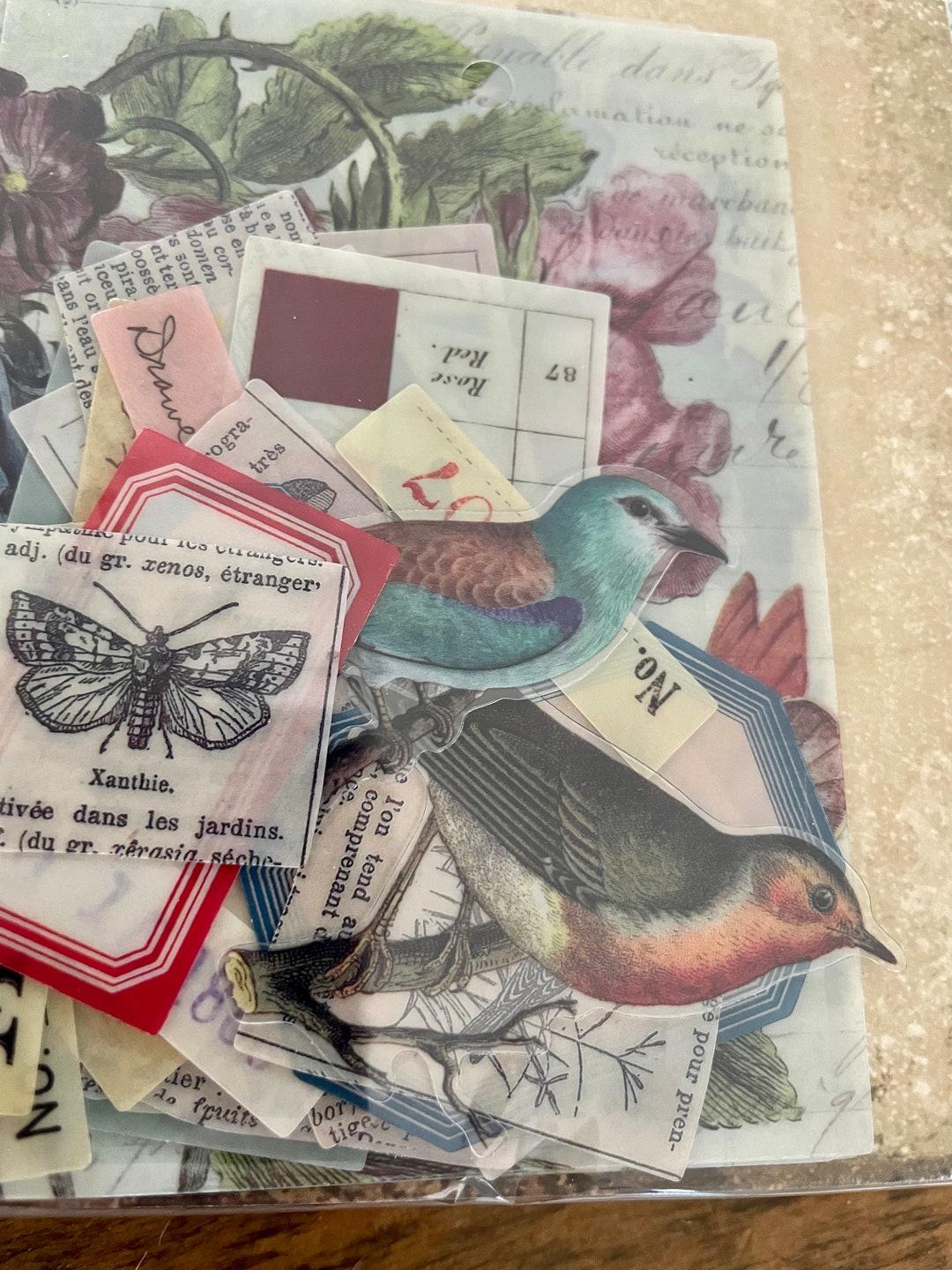 Transparent Things 2 Tim Holtz Idea Ology Acetate Ephemera TH94327 - Etsy