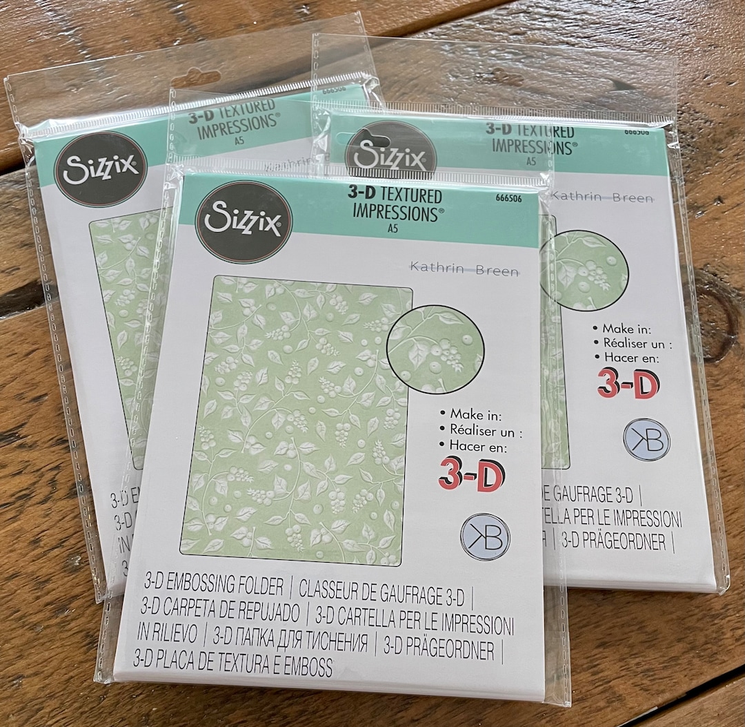 Snowberry Kath Breen & Sizzix Multi-level Textured Impressions A5 Embossing Folder 666506 - Etsy
