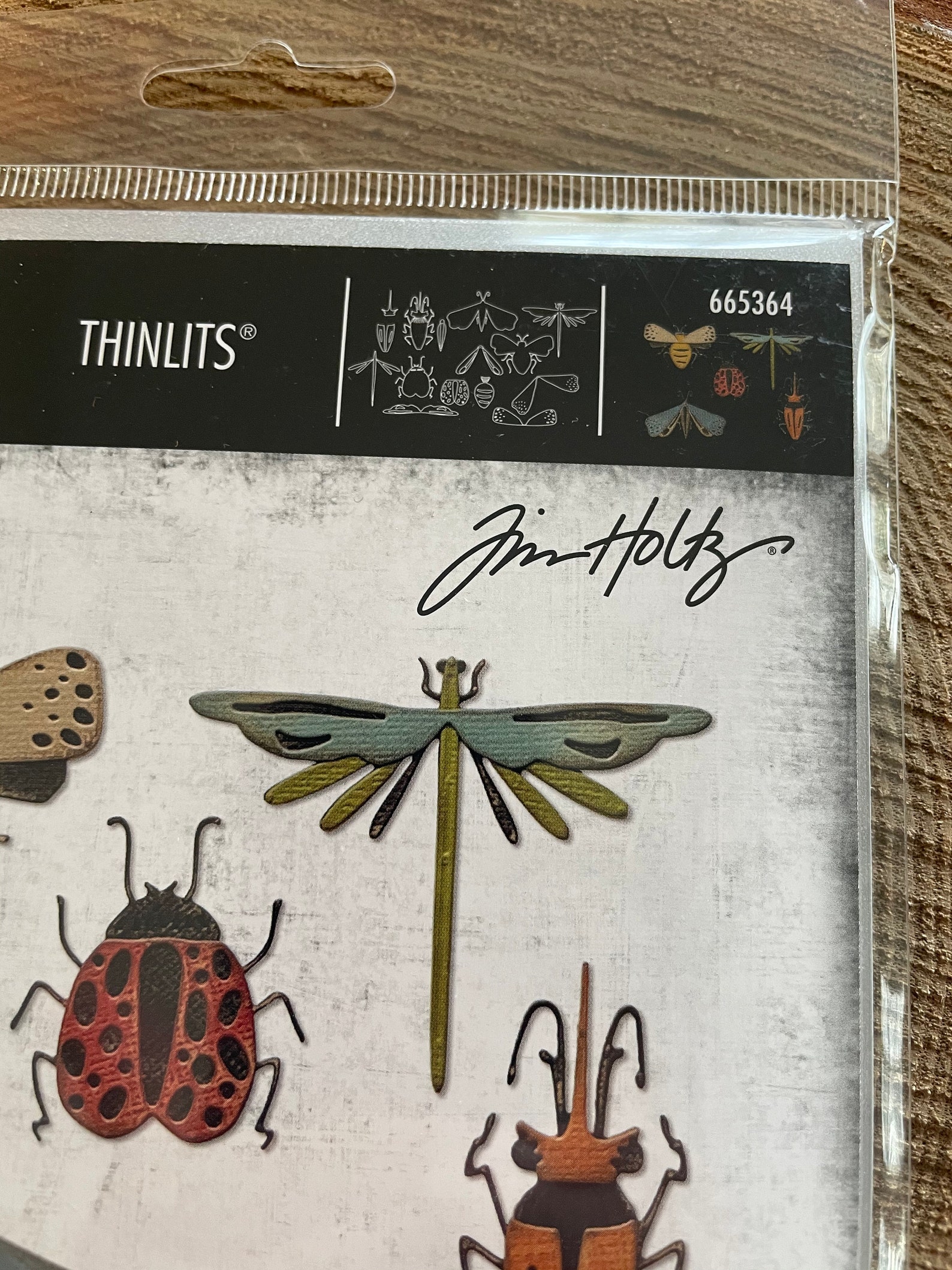 Funky Insects Tim Holtz Thinlits Die Set Sizzix | Etsy