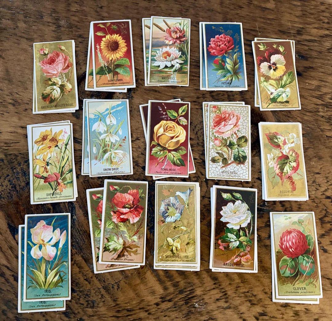 Flowers NEW the Collector Ephemera Craft Consortium - Etsy