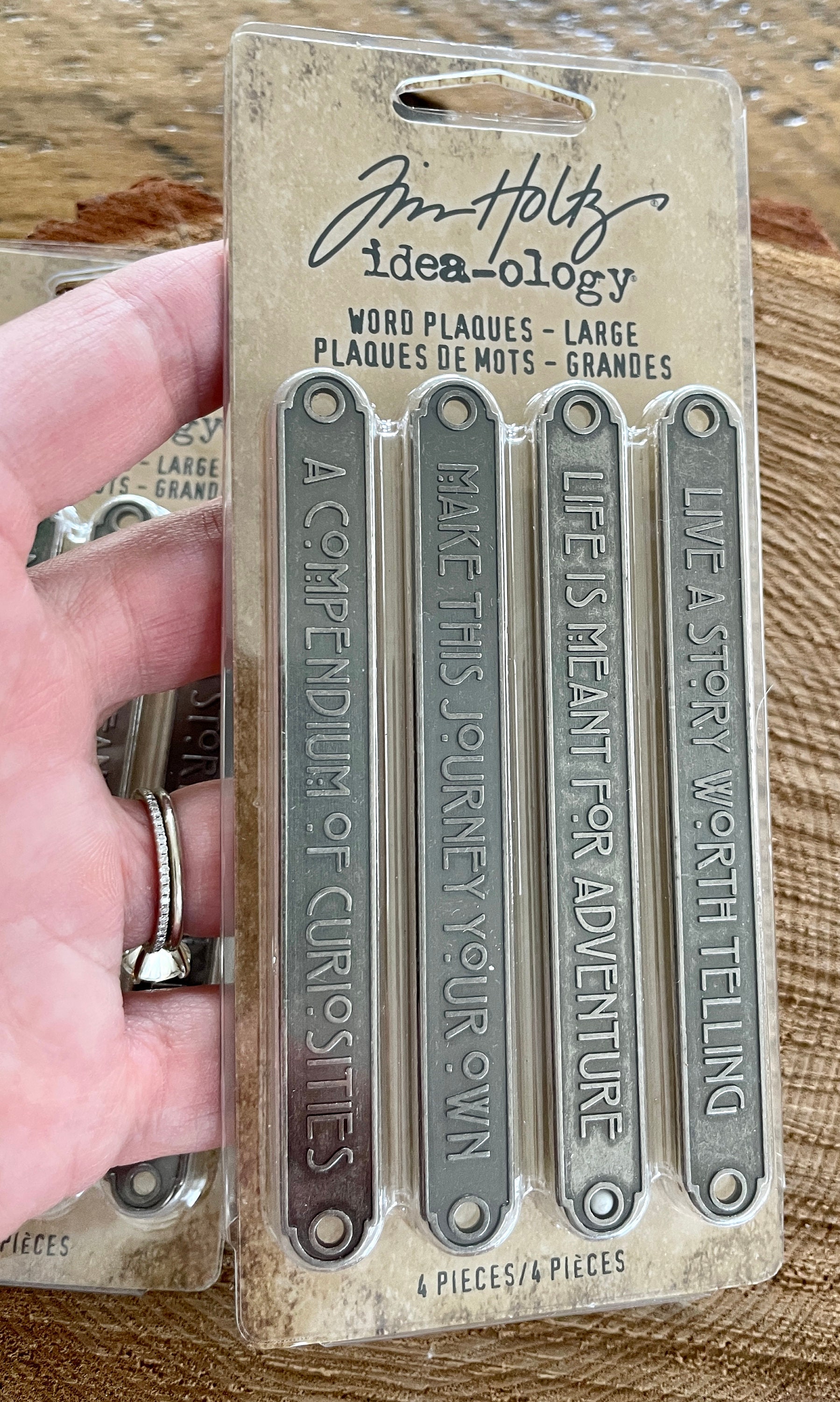 Tim Holtz Idea-ology 2023 Large Metal Word Plaques 4/pkg TH94329 - Etsy