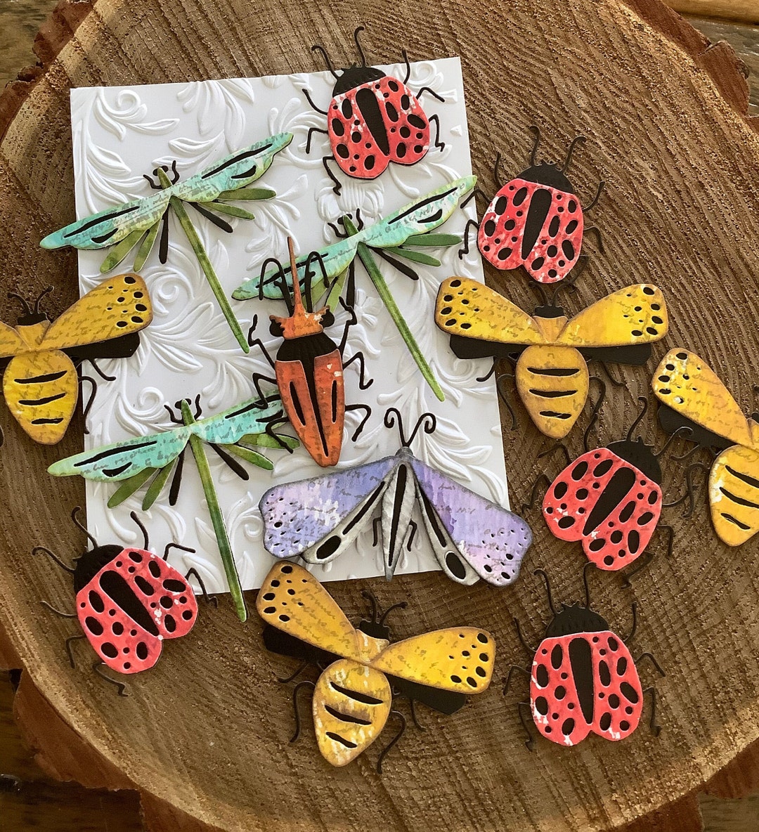 Funky Insects Tim Holtz - Thinlits Die Set Sizzix - Etsy