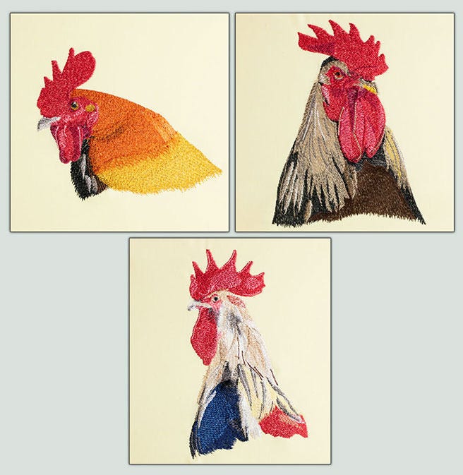 BFC1430 Three Rooster Portraits - Etsy