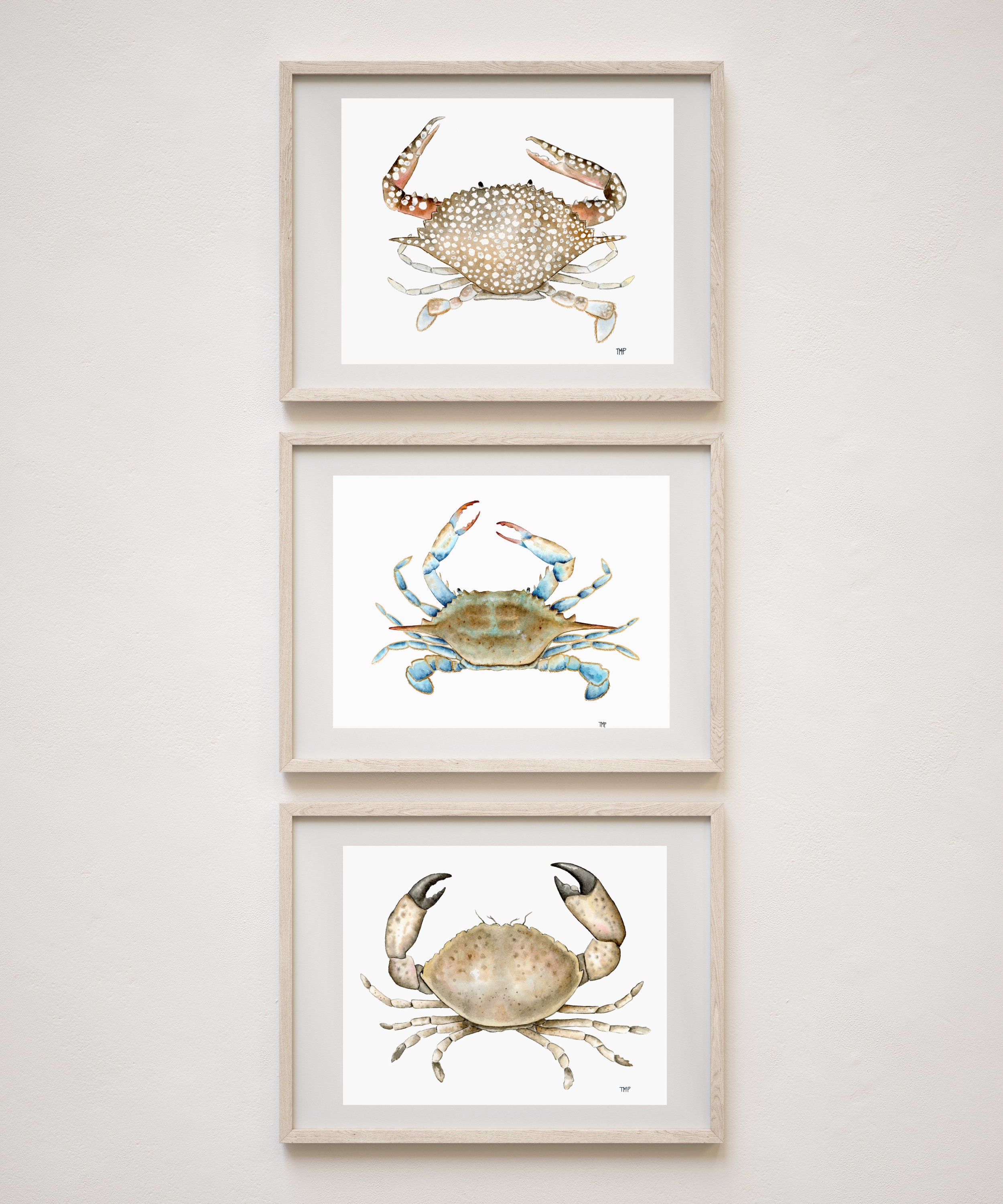 Watercolor Crab Print Set of 3, Crab Print Bundle, Blue Crab Painting ...
