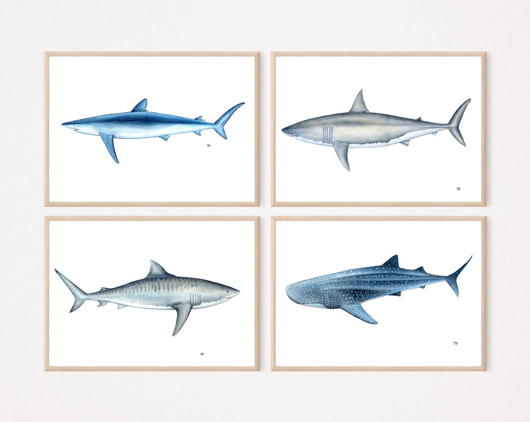 Shark Watercolor Prints, Set of 4 Prints, Print Bundle, Shark Print ...