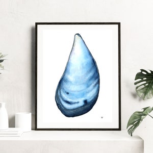 Mussel Shell Print SET OF 3, Seashell Print, Shell Print, Giclee Print ...