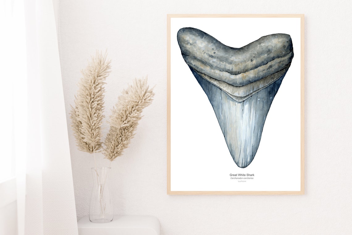 Great White Shark Tooth Print, Shark Tooth Print, Shark Tooth Art ...