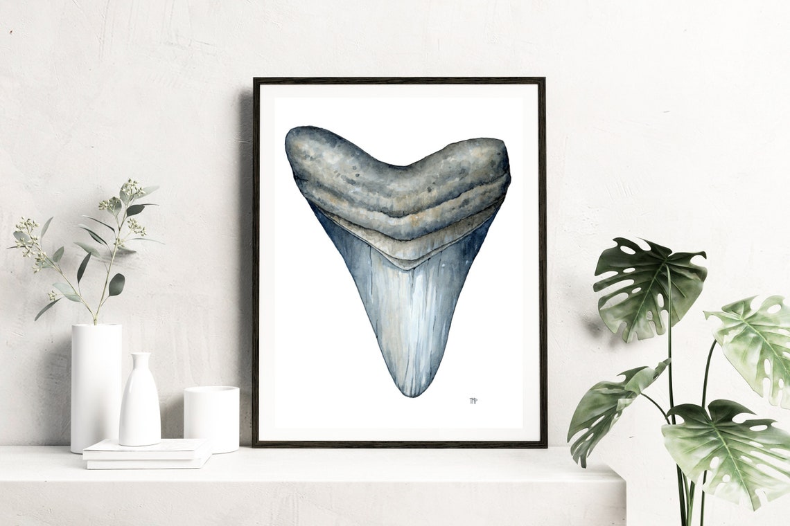 Great White Shark Tooth Print, Shark Tooth Print, Shark Tooth Art ...